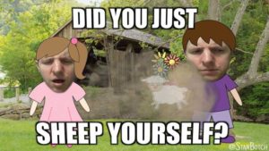 23 Funny Sheep Memes, Botch