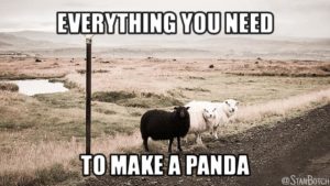 23 Funny Sheep Memes, Botch